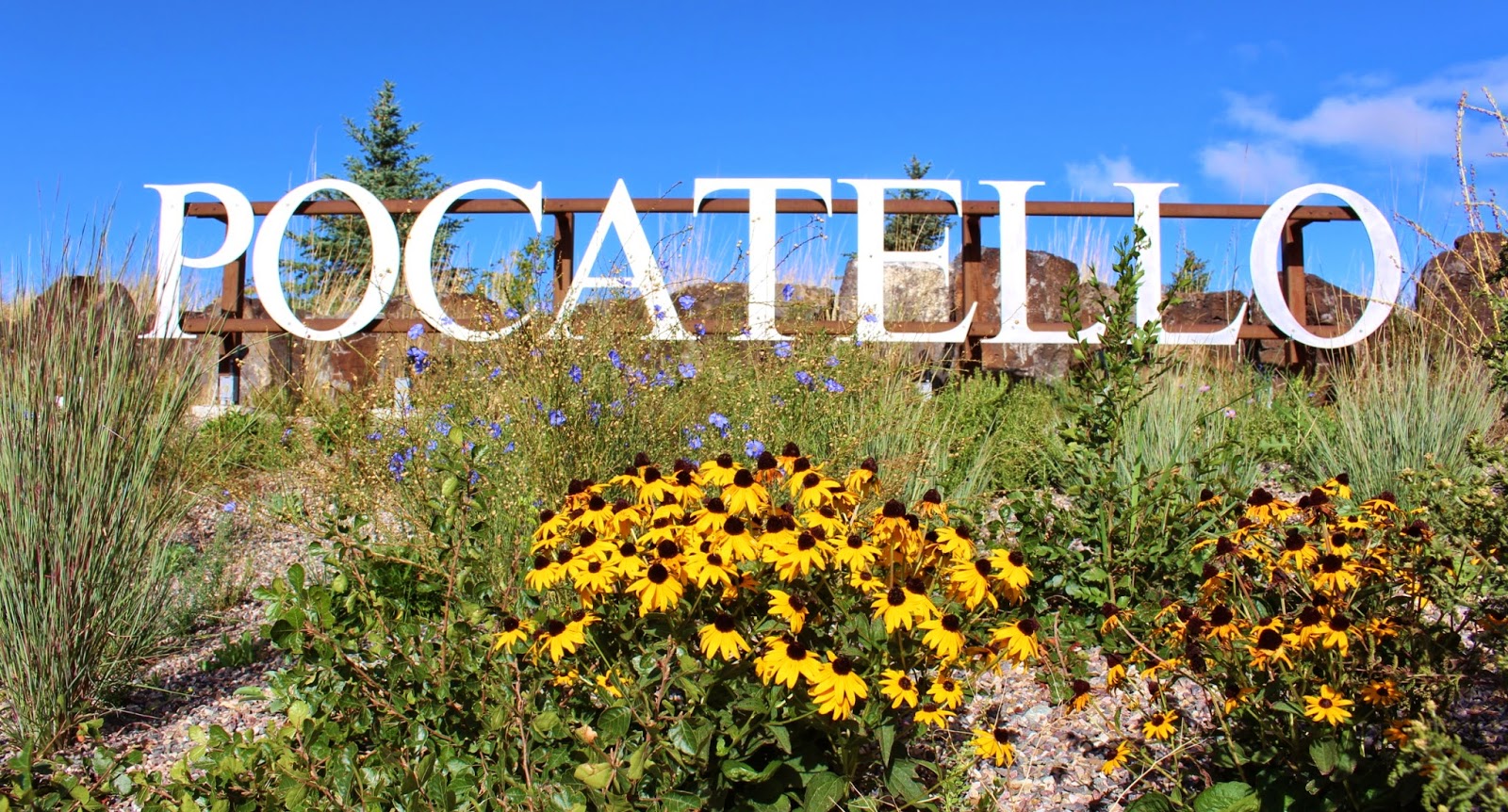 50 after 40: 2014 Pocatello Marathon Review