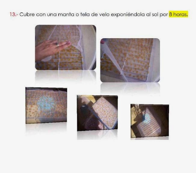 INGENIANDO: COMO HACER FRUTA ENCHILADA, RECETA PASO A PASO