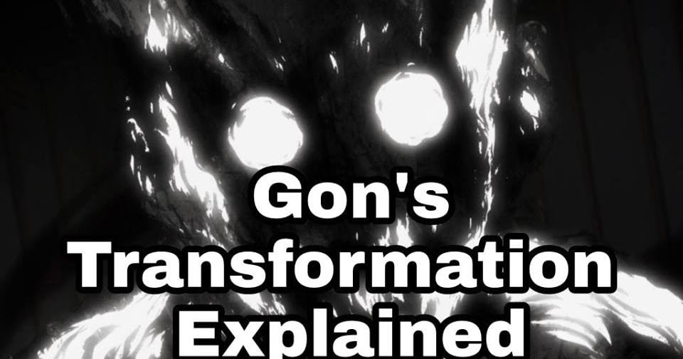 Gon's Transformation Explained
