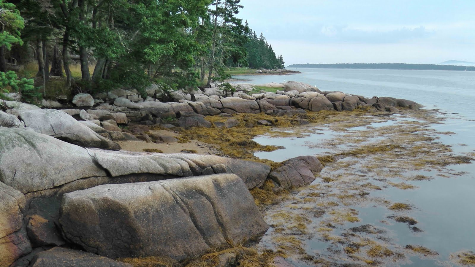 LATITUDES' JOURNEY: Buckle Island