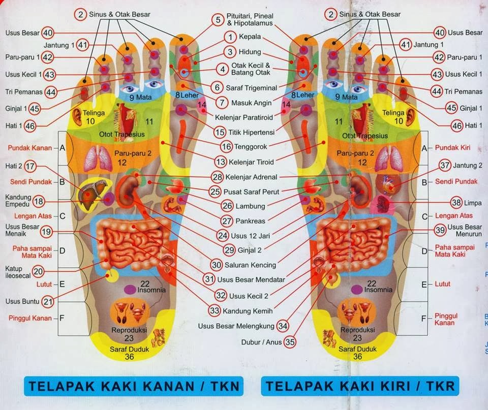 Titik Akupuntur Sakit Pinggang Homecare24