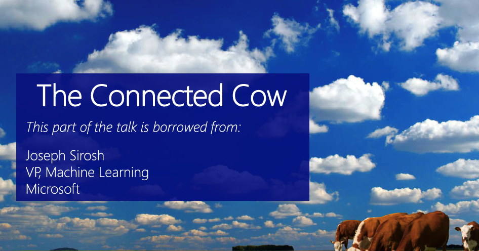 Philippines Cattle Raising: The Connected Cow