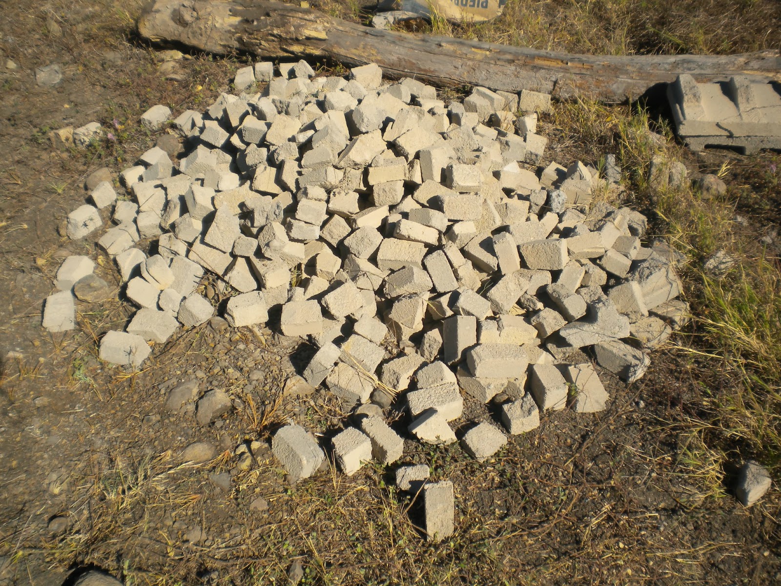 FBC Raleigh Honduras 2014: Construction debris (pine cones J.B.)