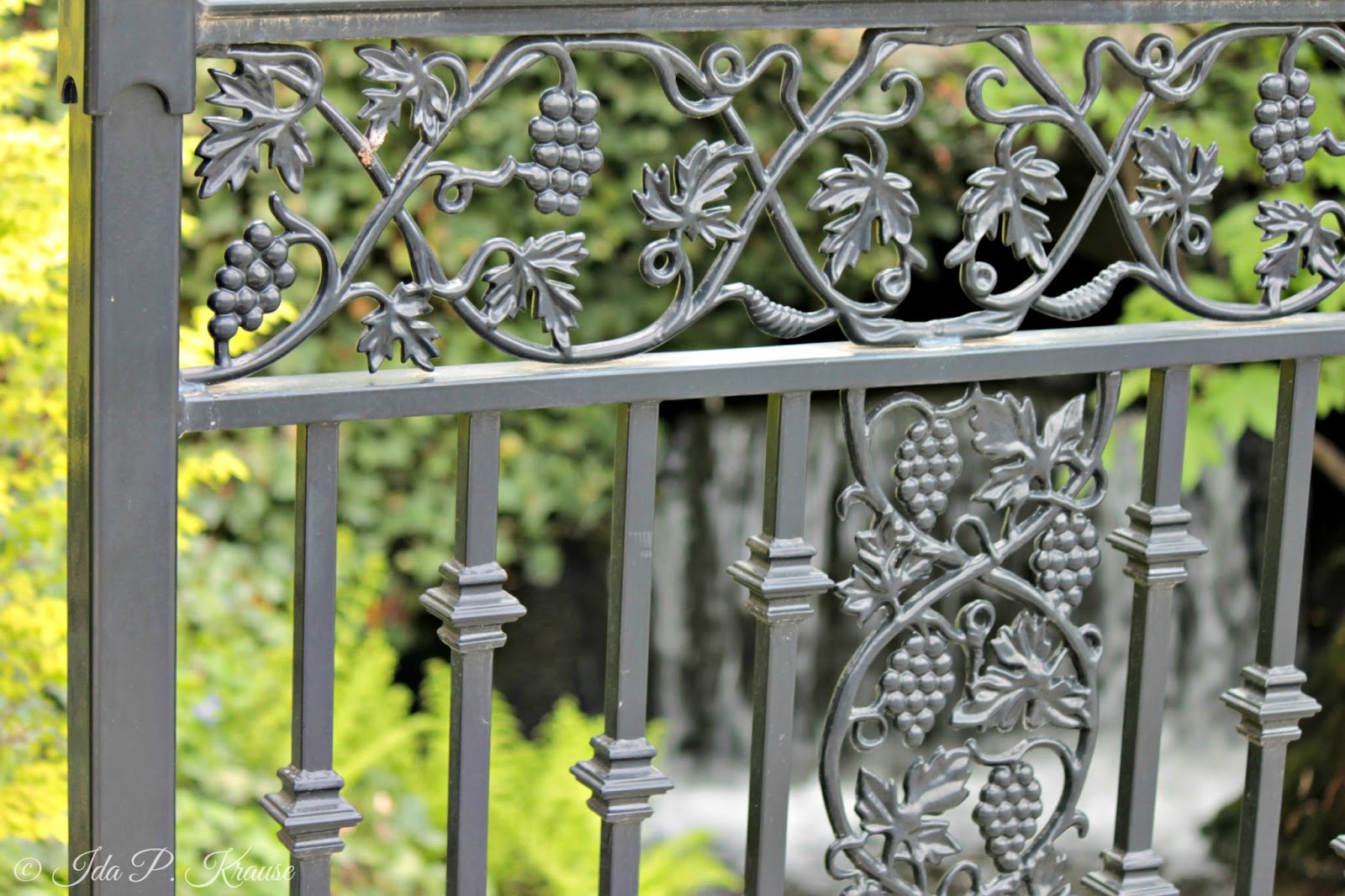 Wishes, Dreams & Other Things: Good Fences #5 - The Grape Fence