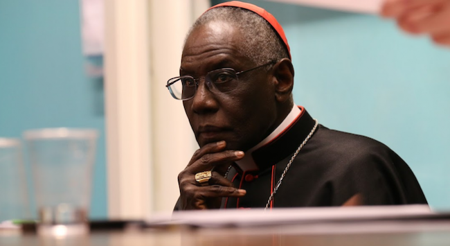 The Eponymous Flower: Cardinal Robert Sarah -- Assigned by the Pope and ...