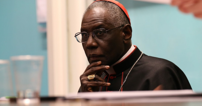 The Eponymous Flower: Cardinal Robert Sarah -- Assigned by the Pope and ...