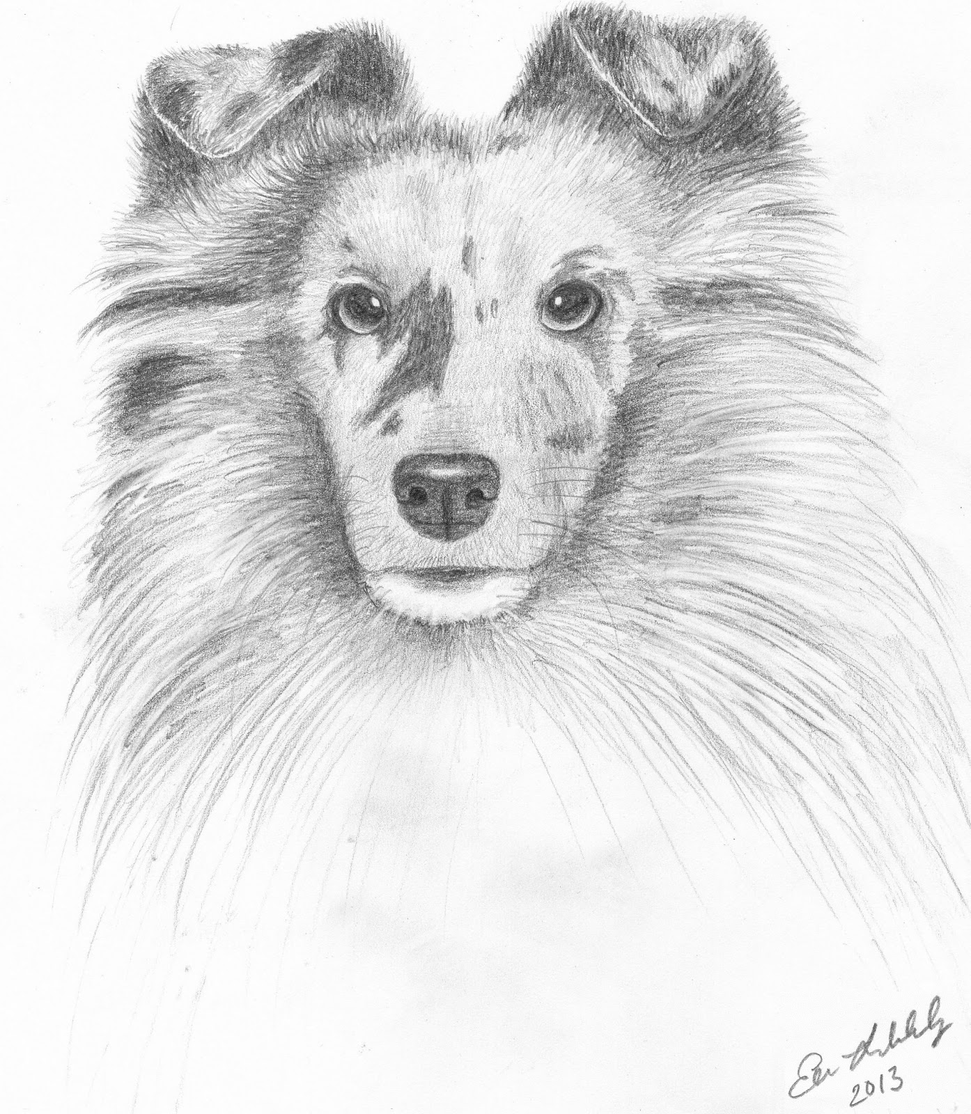 Länsimetsän koirat: Juoksut ja piirustus