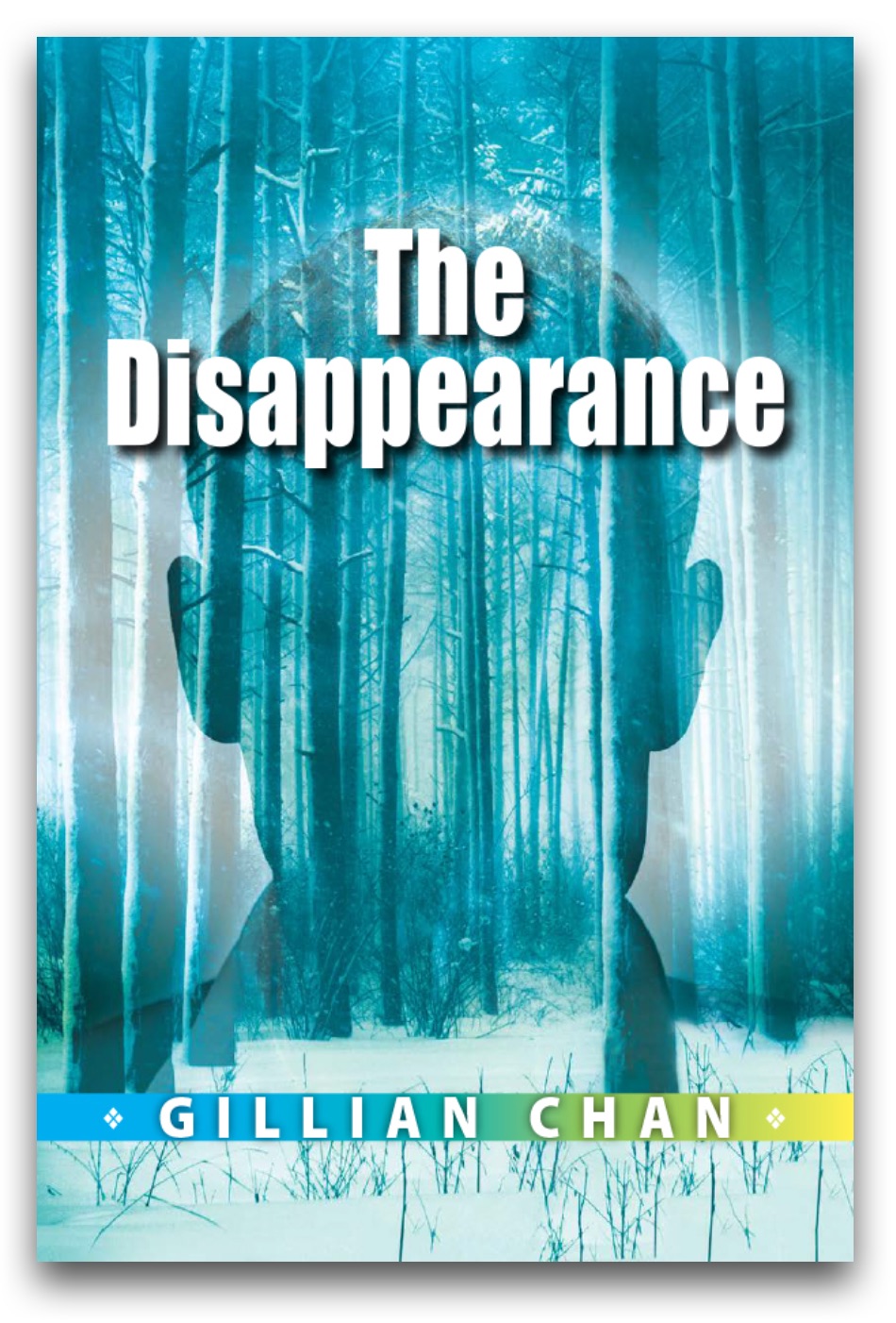 CanLit for LittleCanadians: The Disappearance