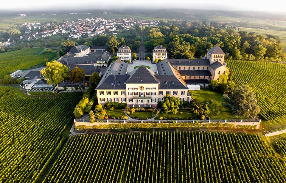 schiller-wine: Tour and Tasting at Schloss Johannisberg, Rheingau, with ...