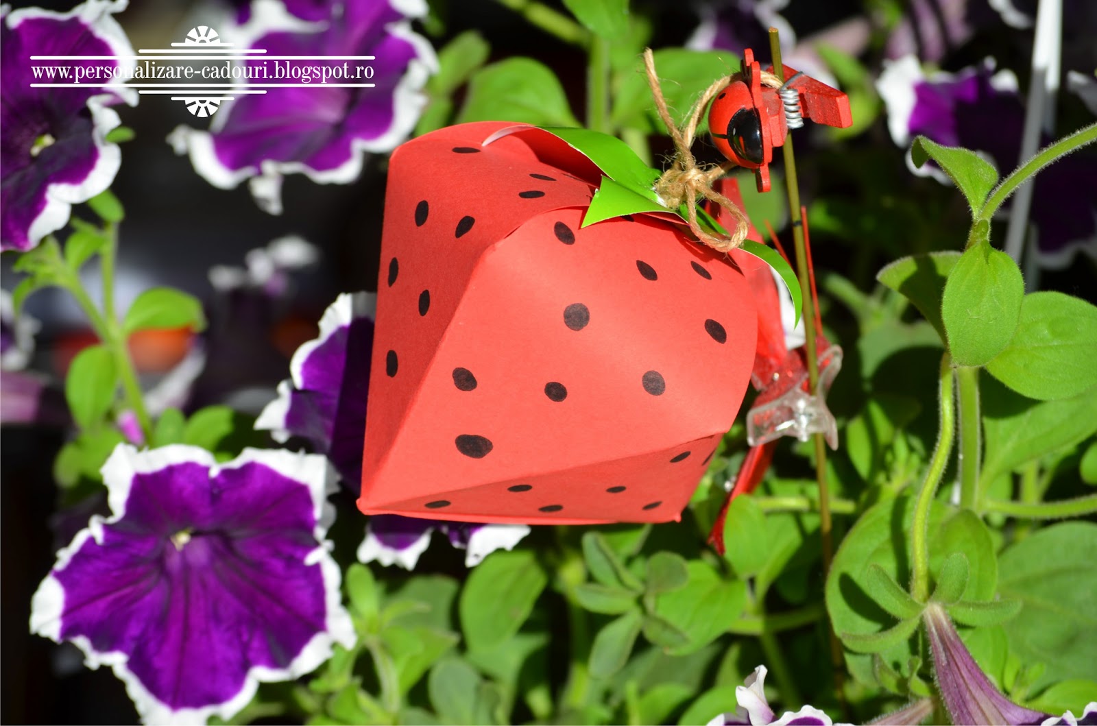 CADORIUM - Atelier de cadouri personalizate: HANDMADE