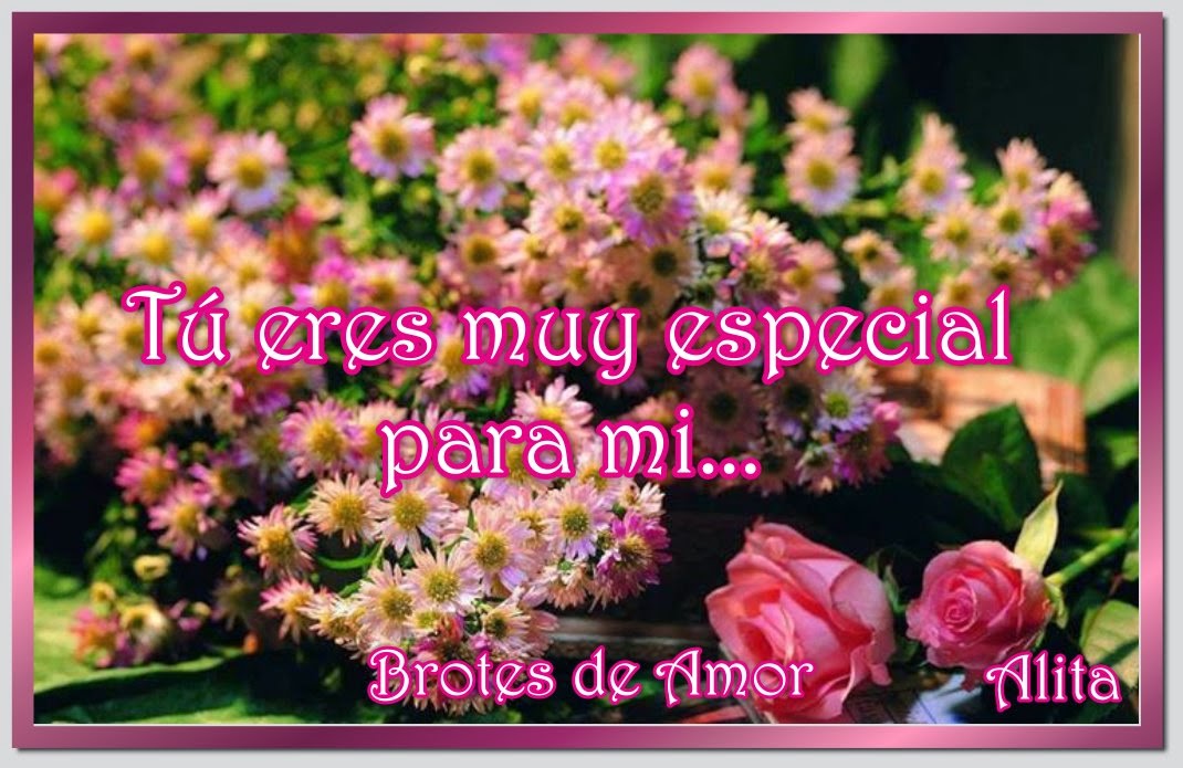 Brotes de Amor: Tú eres muy especial