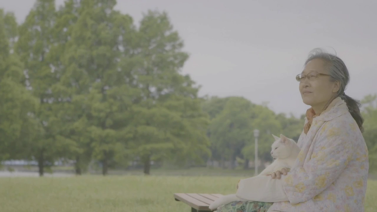 Motai Masako - もたいまさこ