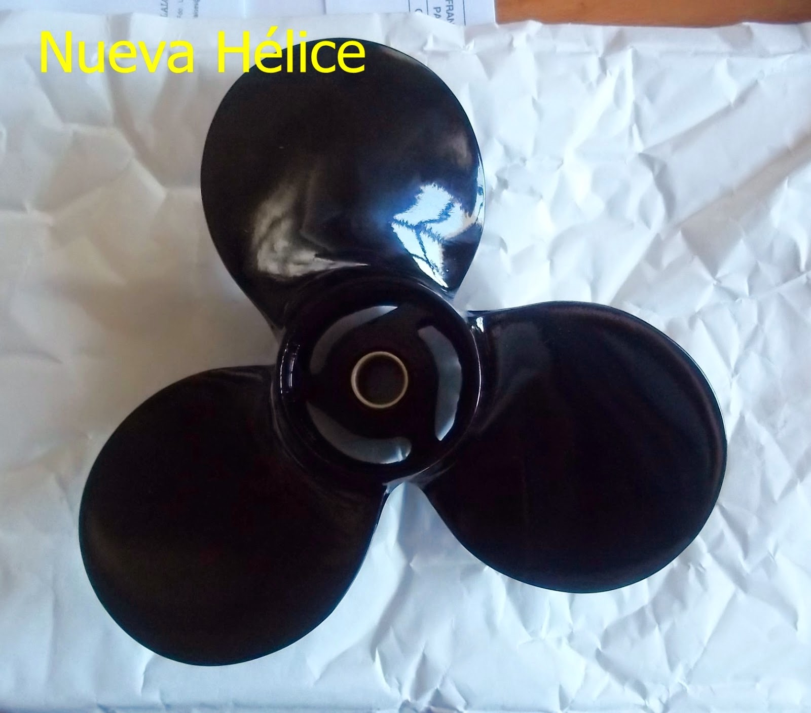 Faro del Picacho: Cambio de Hélice en motor Fueraborda