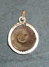 SALIGRAMA SILA: Sudarsana Salagrama