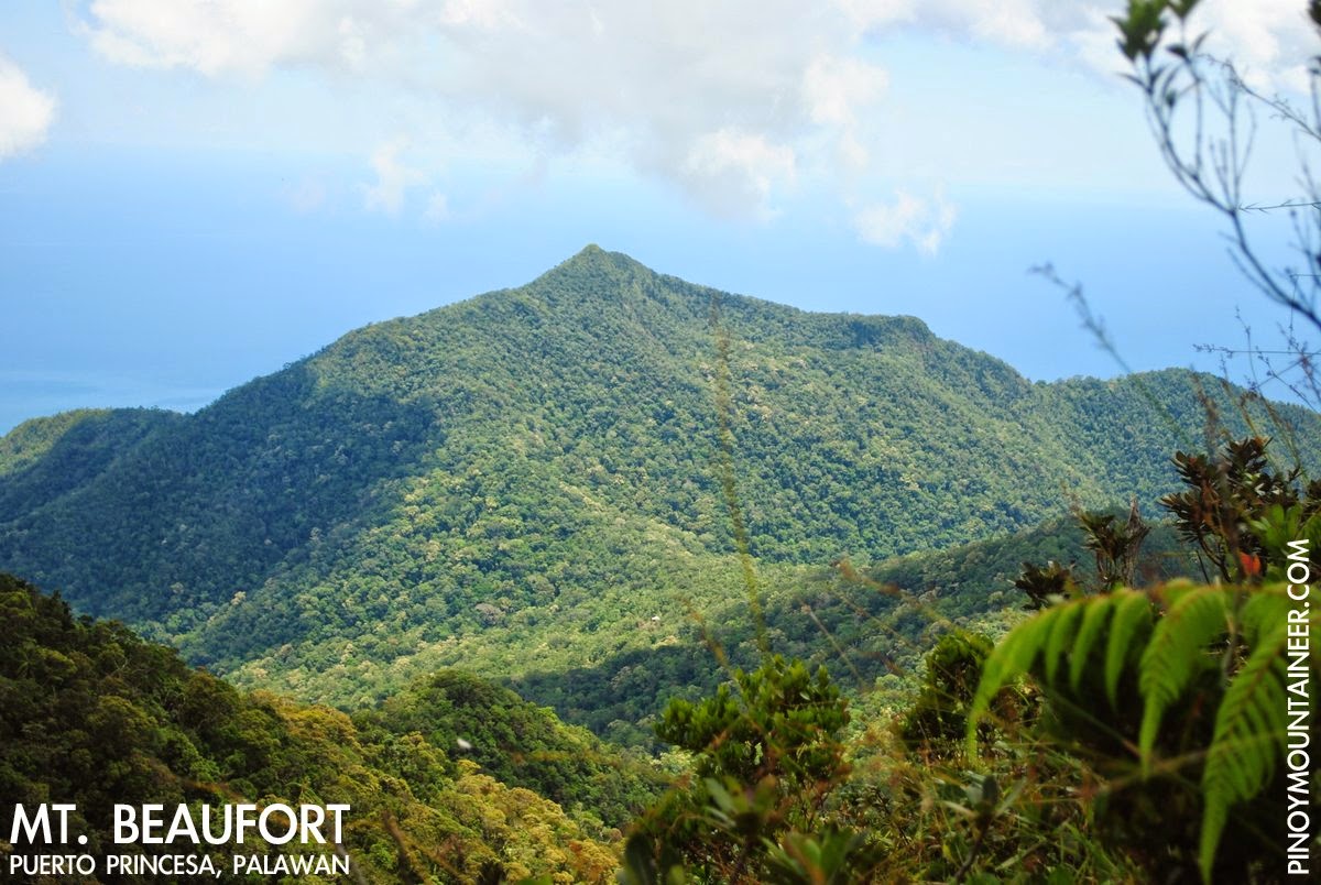 Hiking matters #405: Beautiful Mt. Beaufort in Puerto Princesa, Palawan ...