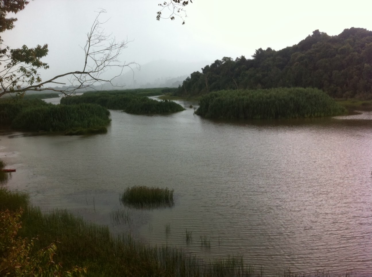 BETEL, BANYAN, BASIL & BAMBOO: The Dragon of Lake Chini