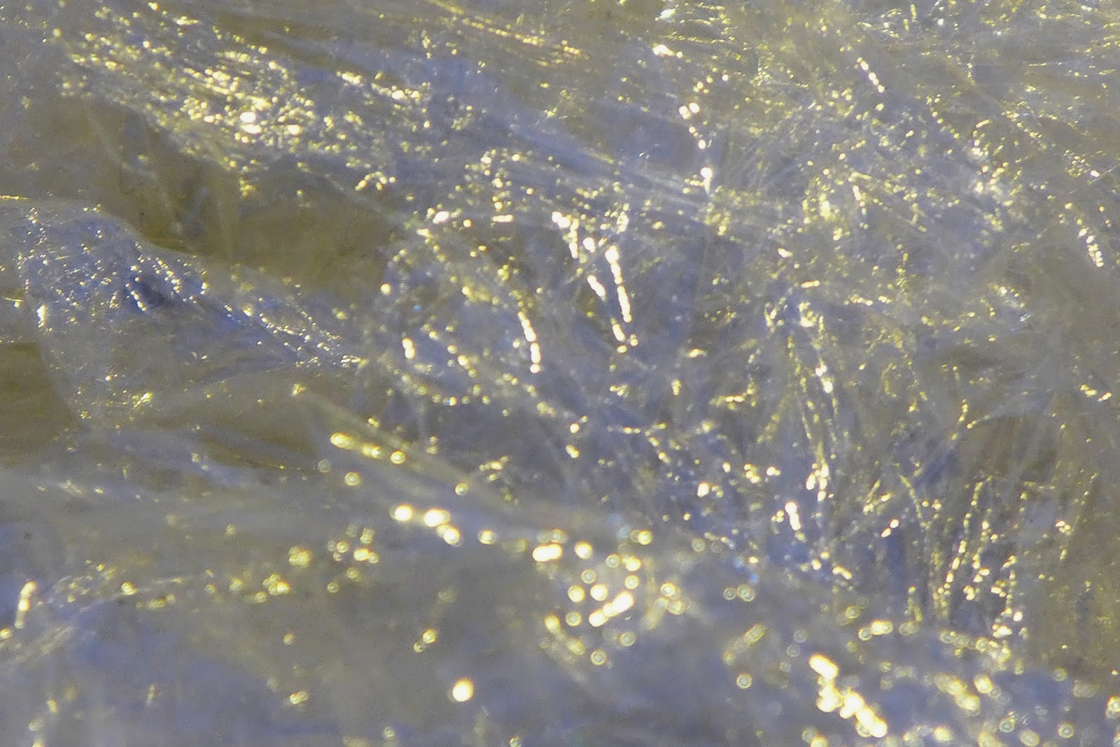 Textura gratis de plástico arrugado brillante | Todas las texturas