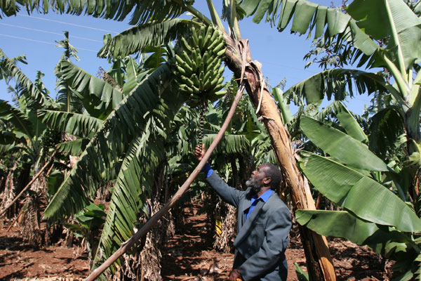 Beautiful Sceneries of Kenyan Republic: This Kisii Town Located In ...