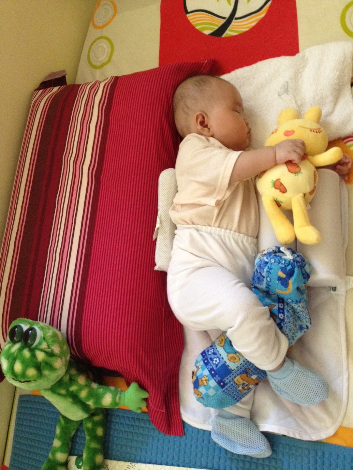 Hello Bunny Baby & Snakey Junior!: Plagiocephaly (flat-head ...