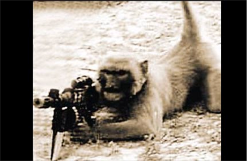 Adventures of a creative: So what happened to the time? (The gnomes ...