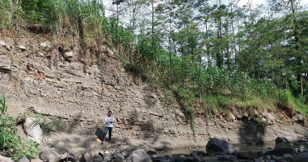 Batuan Sedimen yang Merekam Transgresi dan Regresi Laut