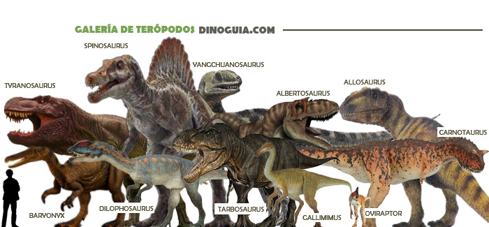 la paleontologia de l'Ot: Teròpodes