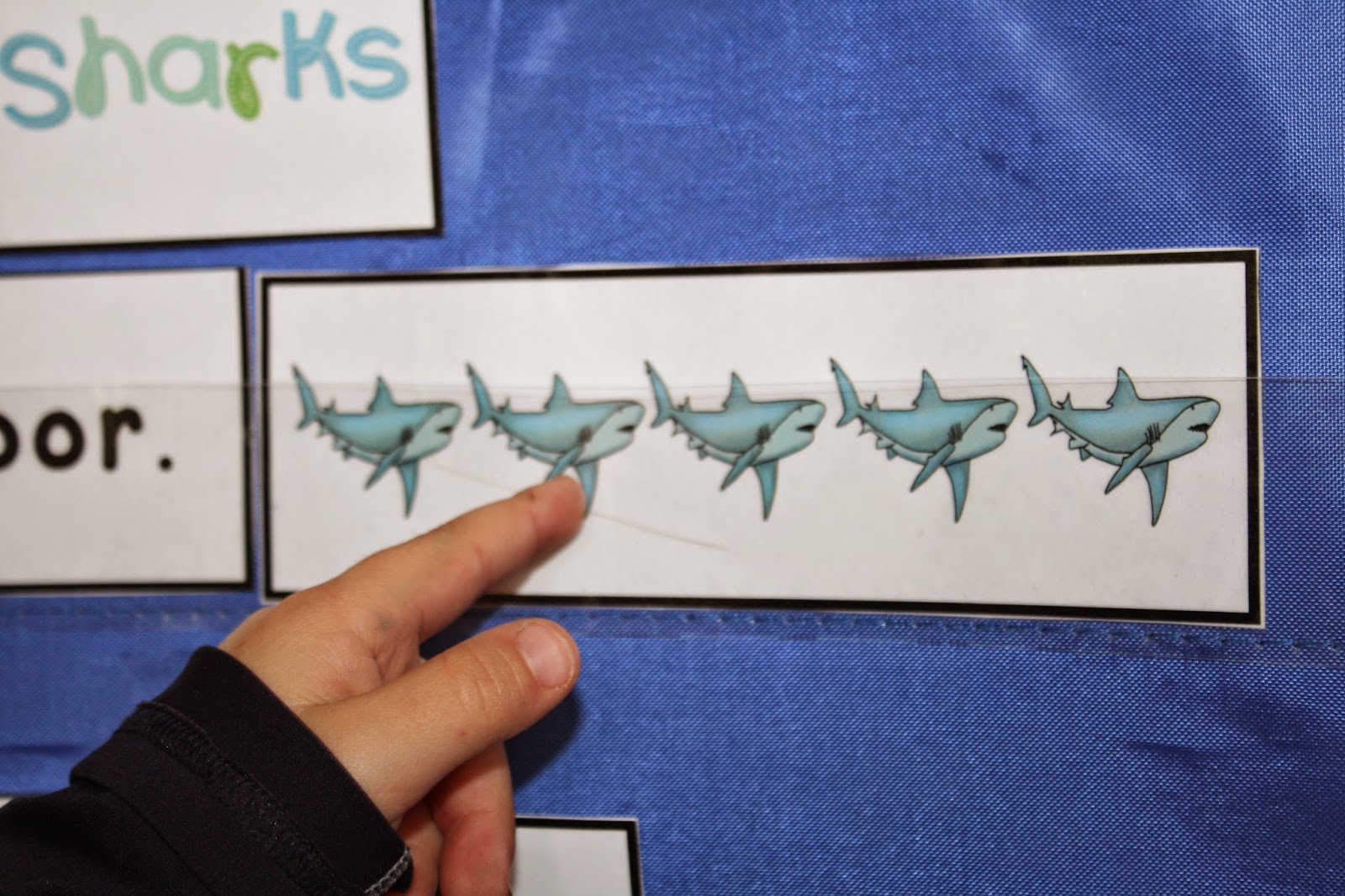 Differentiation Station Creations: Expanding My Sharks! + FREEBIE