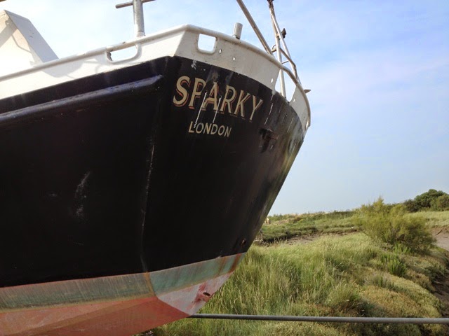 Bill's Log: ‘Sparky’: A Nick Skeates Wylo