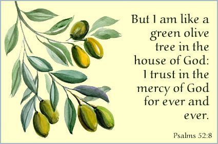Sip A Bit Of Serenity: Psalm 52:8