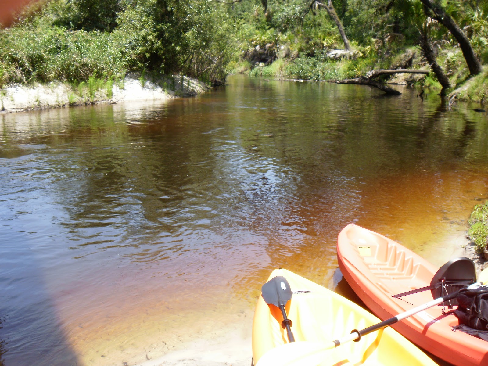 Kayaking Econlockhatchee River ~ When 140 Characters Just Doesn't Cut It...