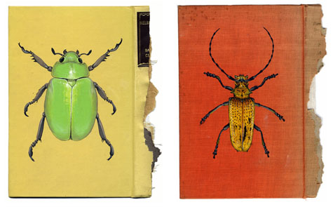 Sloe Gin Fizz: Book Business Tuesday: Rose Sanderson