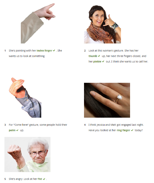 Help Top notch 2 Tercera Edición: Vocabulary: The hand 2 Top Notch 2 ...