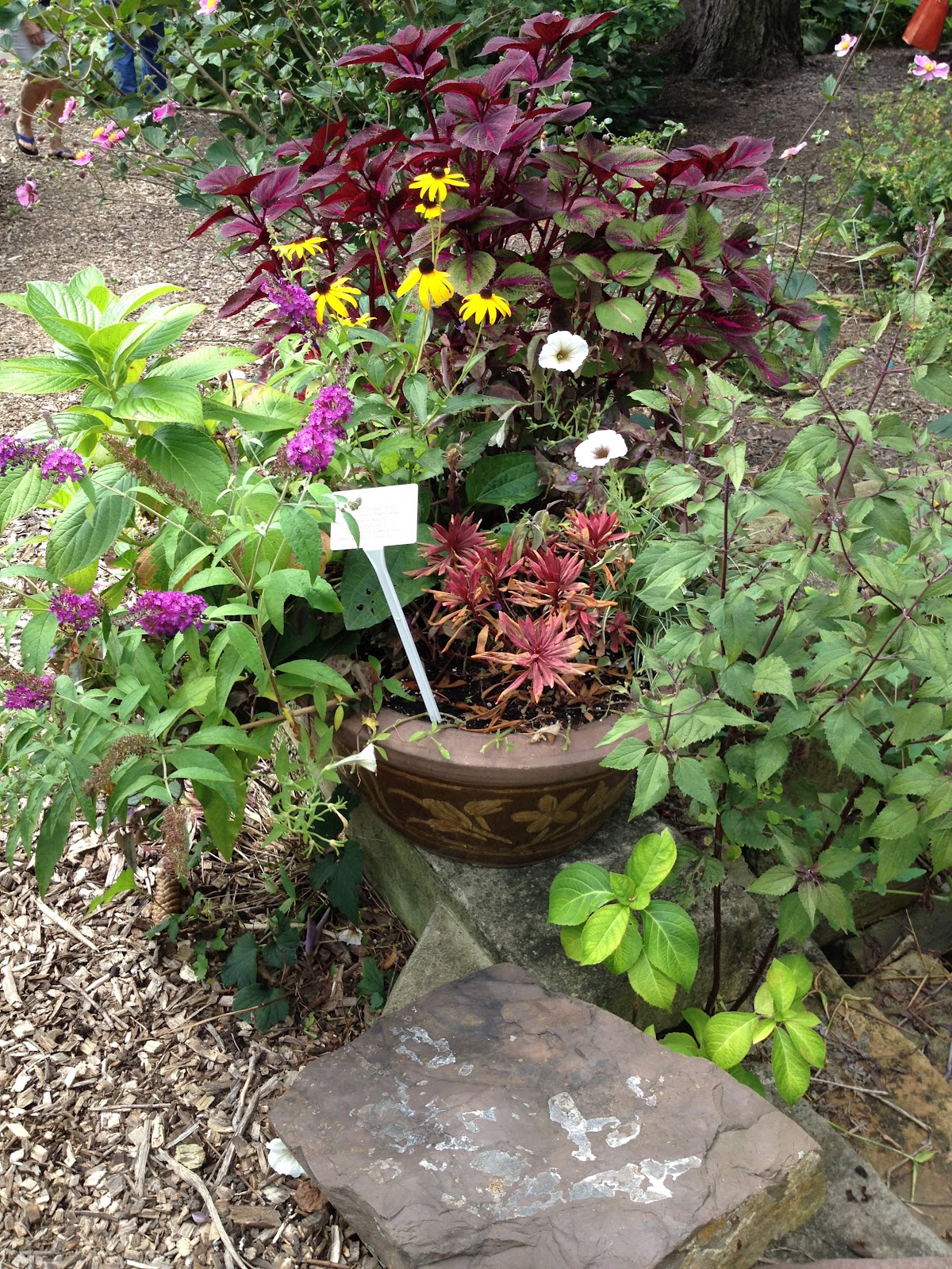 Penn State Extension Philadelphia Master Gardeners : Burpee’s Historic ...