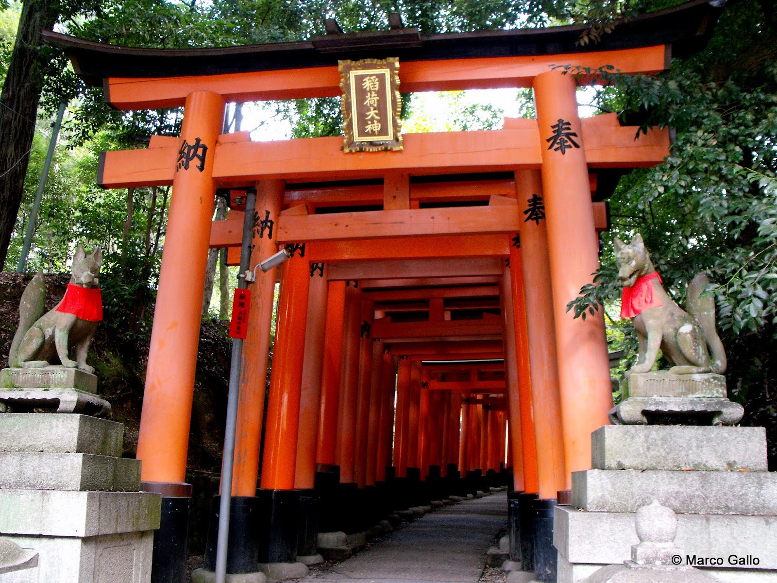 Vivir viajando: TEMPLO FUSHIMI INARI-TAISHA, KIOTO. JAPÓN