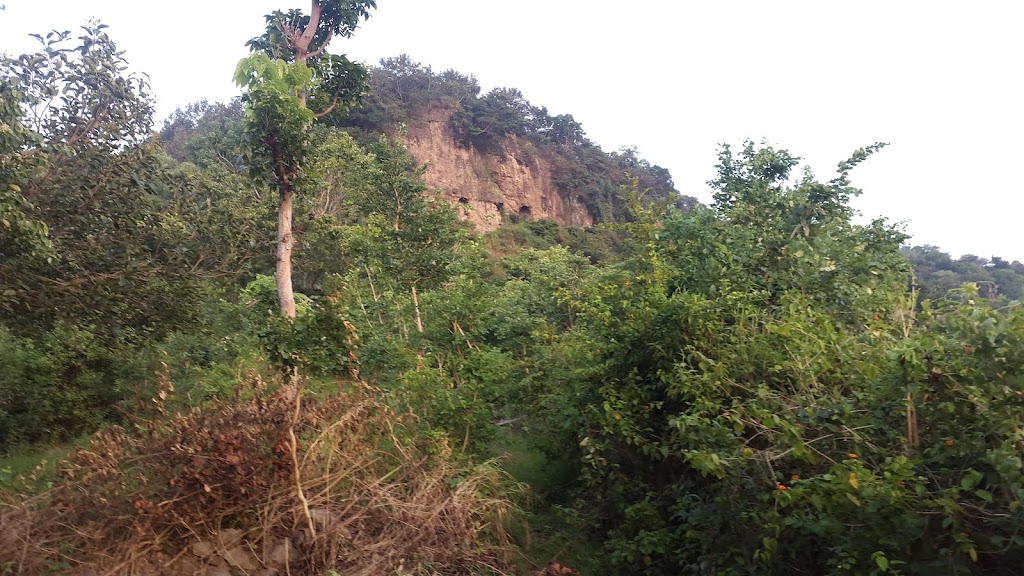 Hutan Gunung Lasem