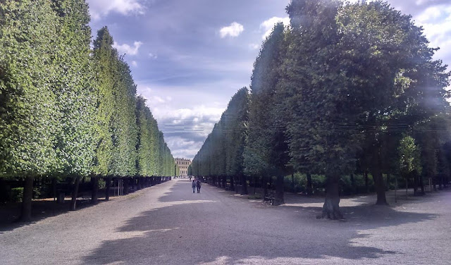 Haris Karagkounidis: Austria-Vienna