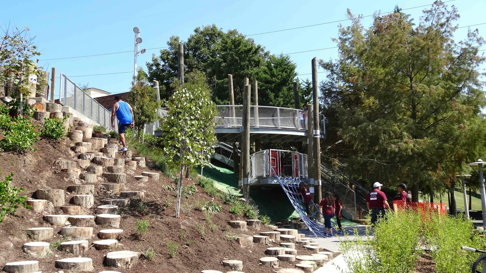 The Bayou Botanist: Buffalo Bayou Boat Ride