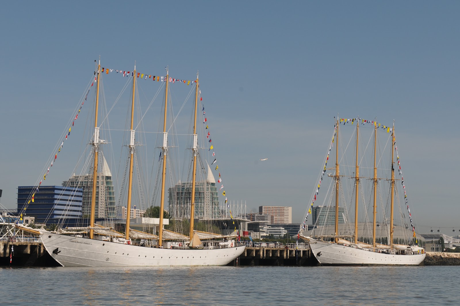 SHIPS & THE SEA - BLOGUE dos NAVIOS e do MAR: CREOULA e SANTA MARIA ...