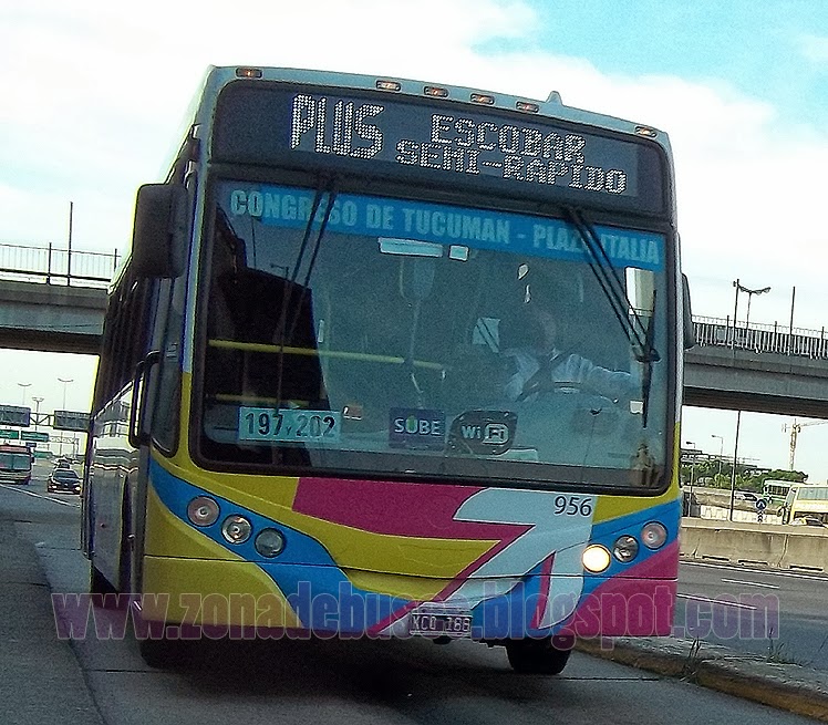 Colectibus - Zona de Buses: LINEA 194 Plus