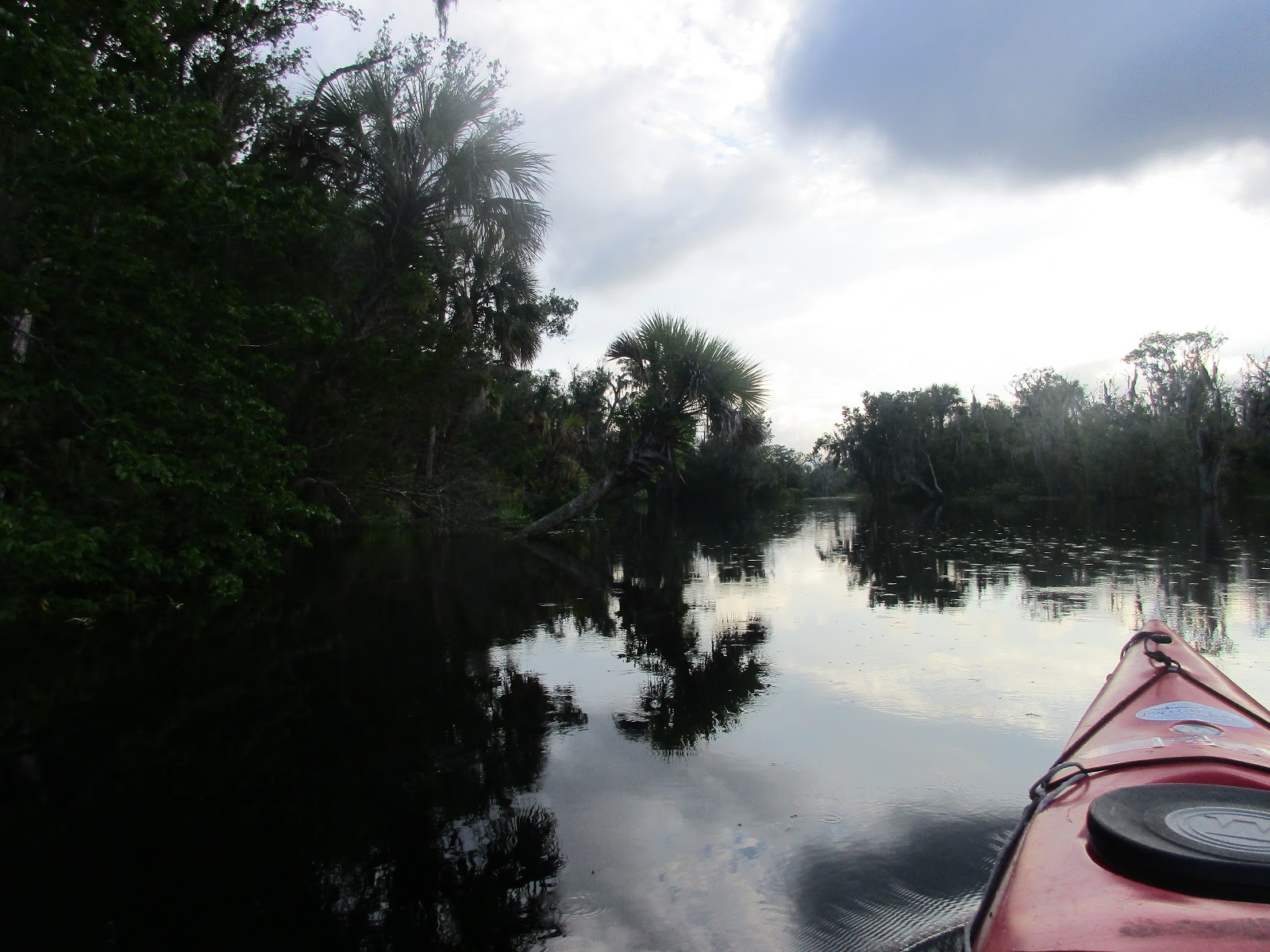 Dave's Yak Tales: Wekiva River