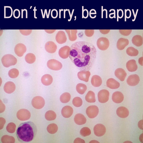 Pin by Somayeh on Hematology | Lab humor, Medical laboratory science ...