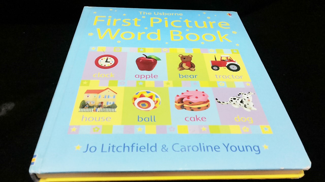 Kid Books Blog: 597.First Picture Word Book