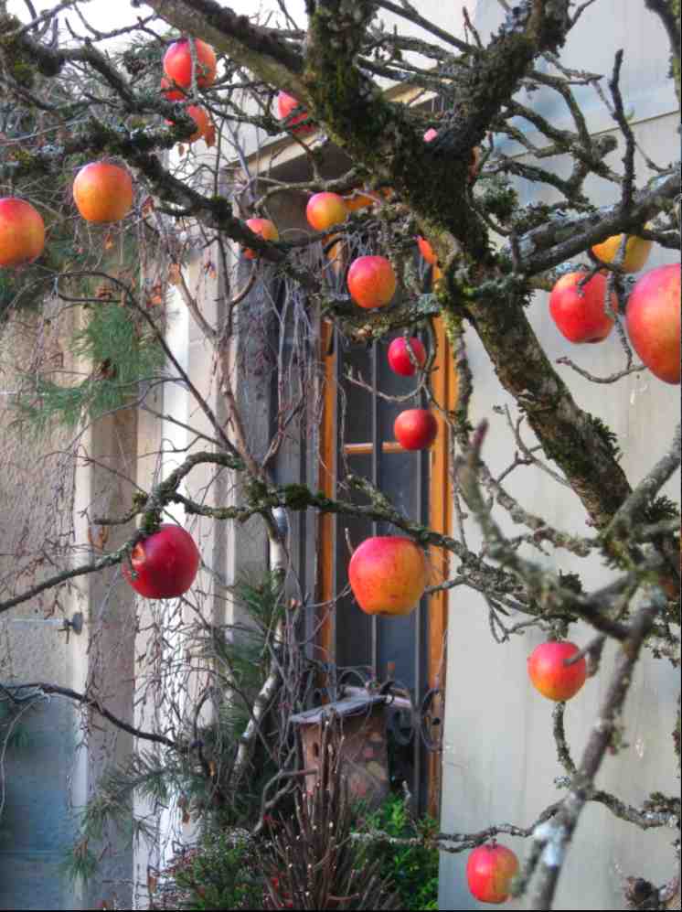 Béatrice De: 05/02/2012 - 12/02/2012