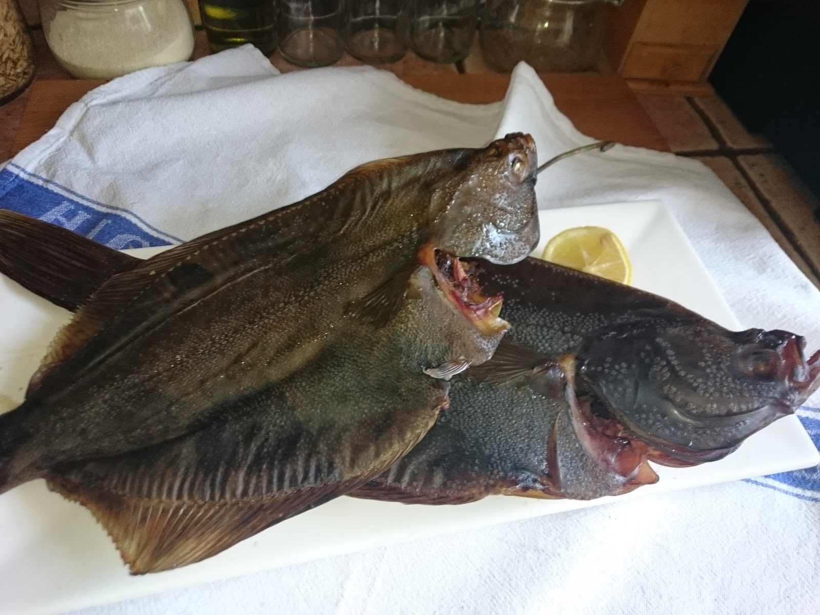 Miód i pieprz: flądra wędzona w domowej wędzarni