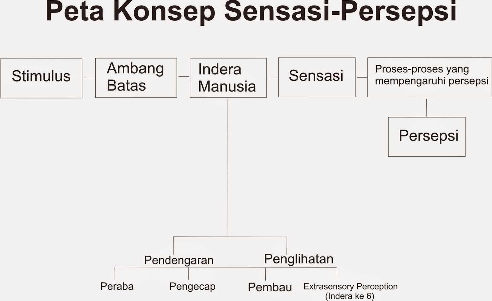 Psikologi Umum 2 : Sensai-Persepsi | LIA MAULIDIA
