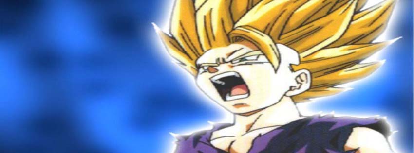 Gohan Facebook Timeline Cover | Facebook Timeline Covers