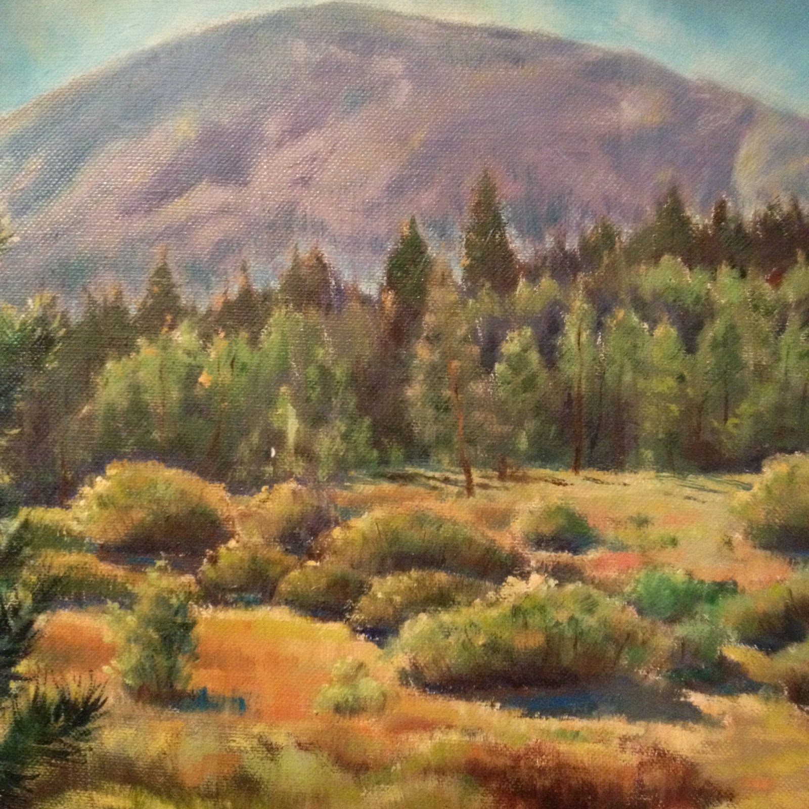 Amador County Artists Association: New Artist Scott Anderson featured ...