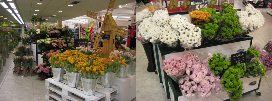 marycot: "Flower power"