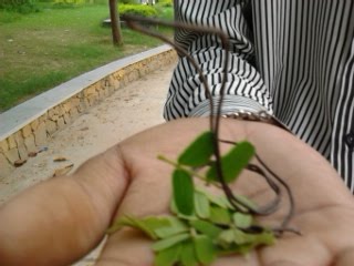 Gujarat Patel Group ( Gayatri Solution Group ): Historical Place Visa ...