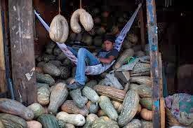 New World Food: Mayan Pumpkins